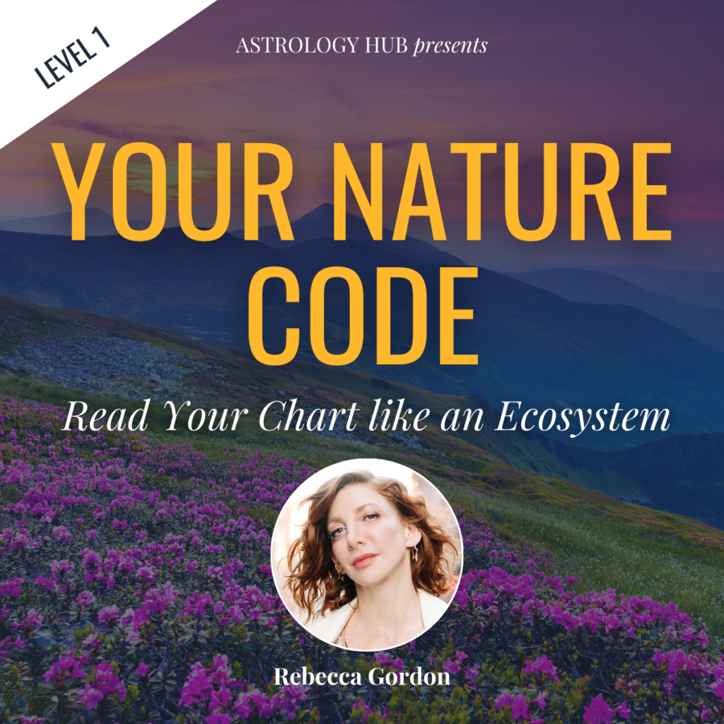 Your Nature Code - Read Your Chart Like An Ecosystem w Rebecca Gordon ...